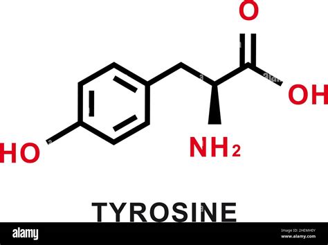 Tyrosine Chemical Formula Tyrosine Chemical Molecular Structure