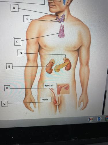 Ch Match Structure To Name Flashcards Quizlet