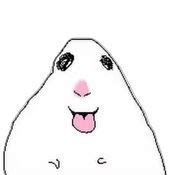 Cute Hamster Meme Drawing