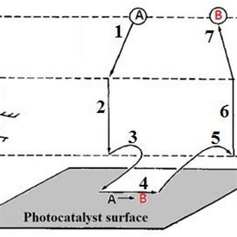 Steps Involved In Heterogeneous Catalysis Modified After Ref [67] Download Scientific Diagram
