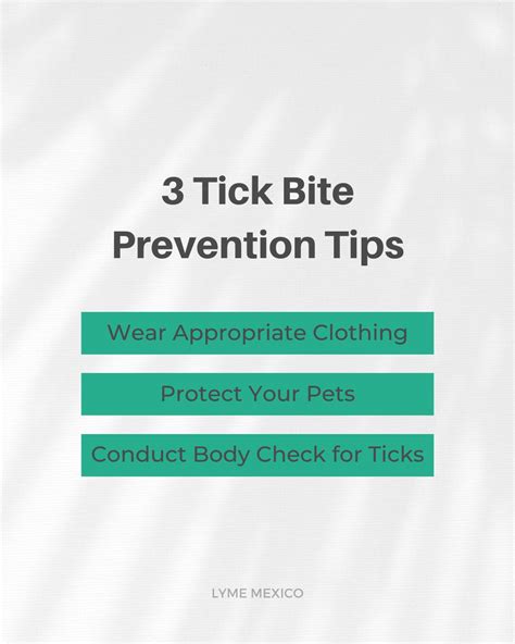 Stay Safe This Summer With Tick Bite Prevention Tips Lyme Mexico