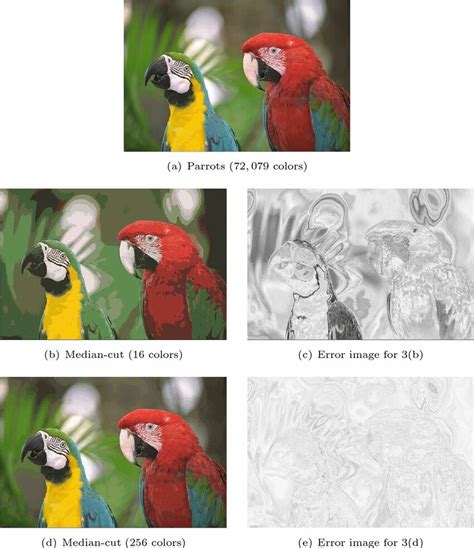 Parrots Image Quantized Using The Median Cut Algorithm Download