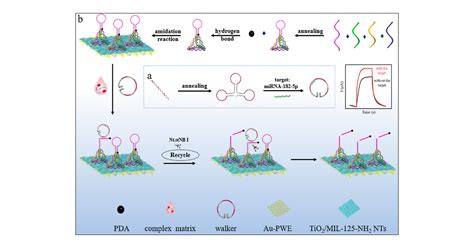 Tetrahedral Dna Nanostructure Engineered Paper Based Sensor With An