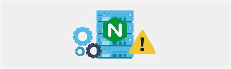 Enable NGINX Only Hosting For Your Domain Plesk
