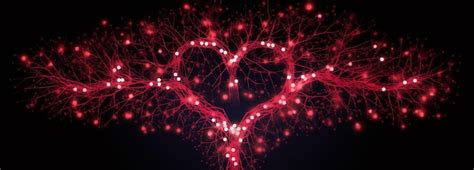 premium photo form a heart shape using programming code syntax each