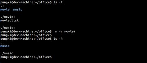 Cómo Usar El Comando Rm De Linux Con Ejemplos