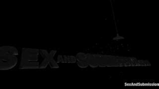 SEX AND SUBMISSION Jynx Maze