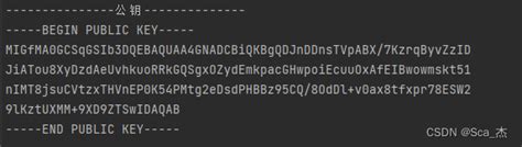 vue node使用rsa非对称加密，实现登录接口加密密码