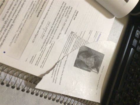 Introduction To Computing And Programming In Python A Multimedia Approach By Mark J Guzdial