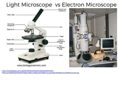 411 Microscopy Class 9 Textbook Of Biology Fbise Islamabad