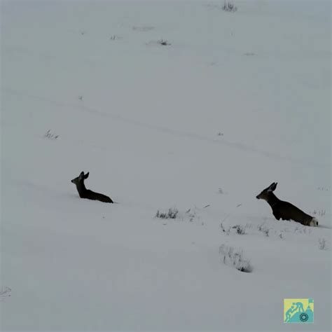 S Kumar On Linkedin Follow Followyourdreams Followus Followyourheart