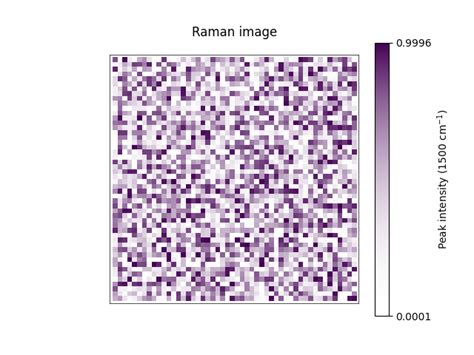 Storing Imaging Data Ramanspy Storing Imaging Data Ramanspy