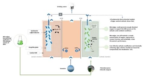 Algae Assisted Microbial Desalination Cell Analysis Of Cathode