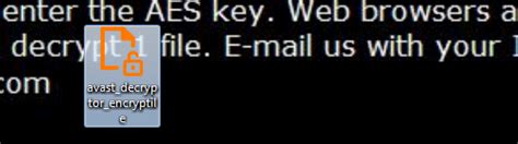 Avast Releases Free Decryption Tool For Encryptile Ransomware