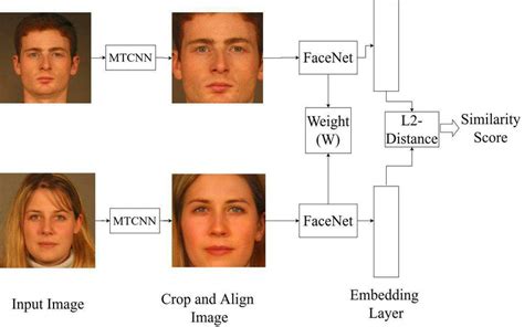 similarity network diagram download scientific diagram