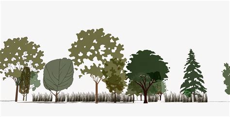 Modular Architecture Modularity In Spaces Learning From Nature