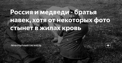 Россия и медведи - братья навек, хотя от некоторых фото стынет в жилах ...