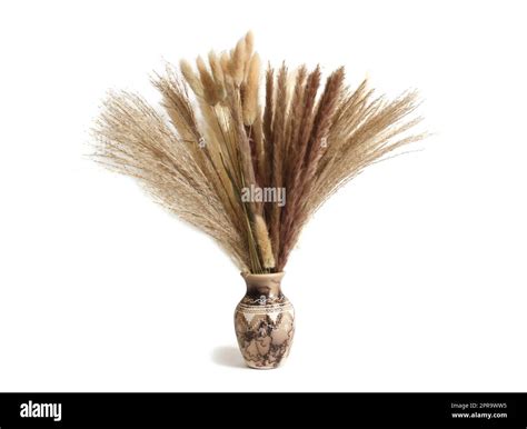Bouquet Of Dried Grasses In Native American Vase Isolated On White