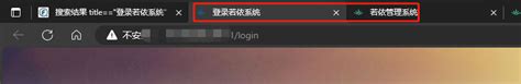 src之若依系统弱口令 druid弱口令 csdn博客