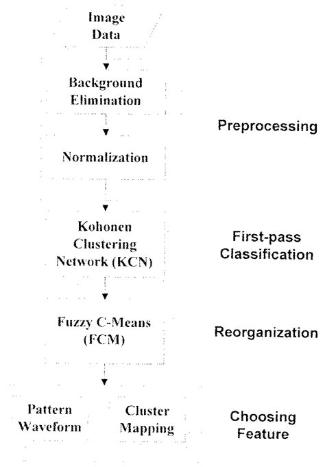 Data Flow Of The Model Free Fmri Analysis Method Cascading Kohonen Download Scientific Diagram