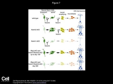 Volume 22 Issue 4 Pages January 2018 Ppt Download