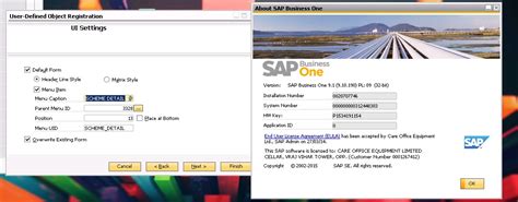 Valid UDO Not Found SAP Community