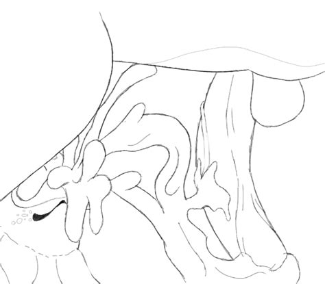 Rule 34 After Sex Cum Female Hair Lizard Male Penis Reptile Samantha Brooks Sarcolopter Scalie