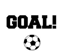 Soccer Goal S Tenor
