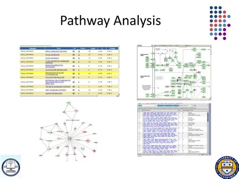 Ppt Bioinformatics Translational Bioinformatics Personalized Medicine Powerpoint