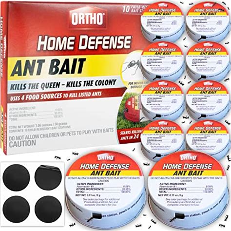 Top 5 Carpenter Ant Traps Reviews And Buying Guide For Your Home
