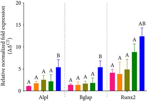 Early And Late Markers Of Osteogenesis Rna Was Isolated From Cells Download Scientific Diagram
