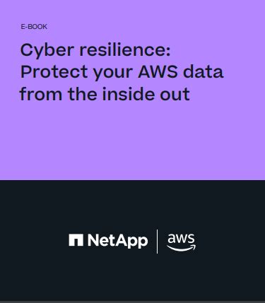 NetApp Cloud Backup Data Management Tools For Government Carahsoft