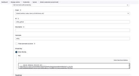 Setup Jenkins For Your Application From The Private Github Repo With Docker Lilys Blogging