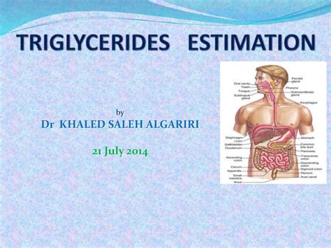 Triglyceride Estimation Pptx Endocrine And Metabolic Diseases Diseases And Conditions