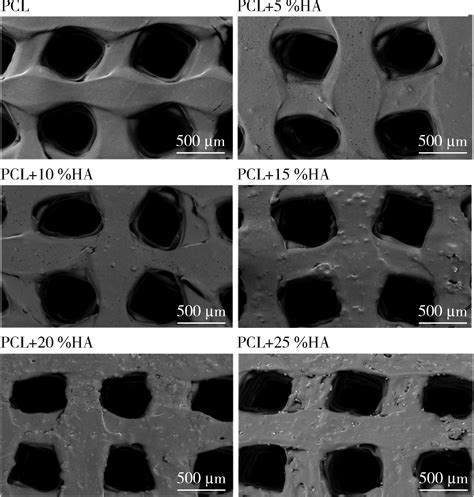3d打印骨组织支架孔隙结构对支架性能影响的研究进展