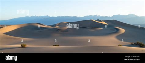 Mesquite Flat Sand Dunes In Death Valley National Park California