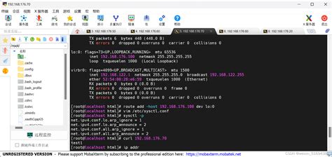 Lvskeepalived 高可用集群