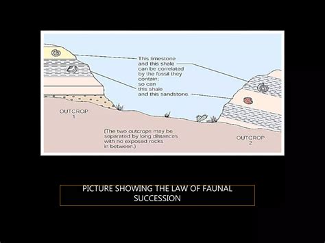 Fundamentals Laws Of Stratigraphy Pptx One For All