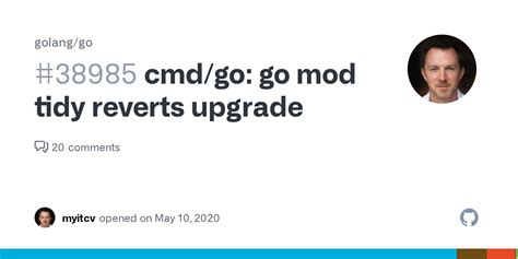 Cmd Go Go Mod Tidy Reverts Upgrade Issue Golang Go GitHub