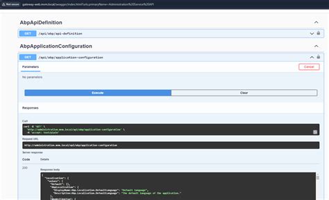 Cannot Request To Api Abp Application Configuration From Angular To GatewayWeb Support