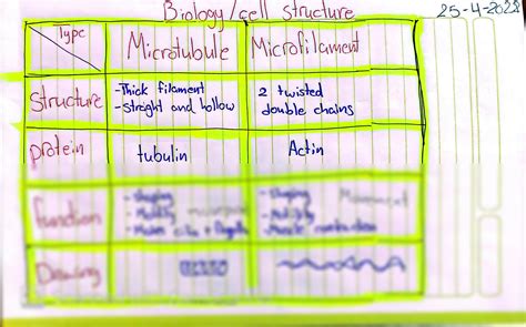 SOLUTION Cell Structure Microtubule And Microfilament Studypool