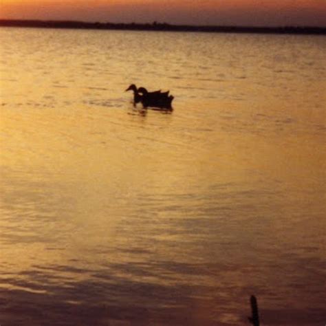 Michael Tully Youtube