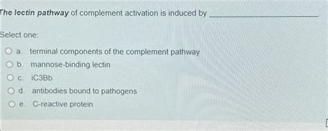 solved the lectin pathway of complement activation is