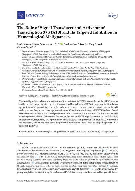 Pdf The Role Of Signal Transducer And Activator Of Transcription 3 Stat3 And Its Targeted