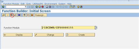 Dynamic Text In Window Sapcodes