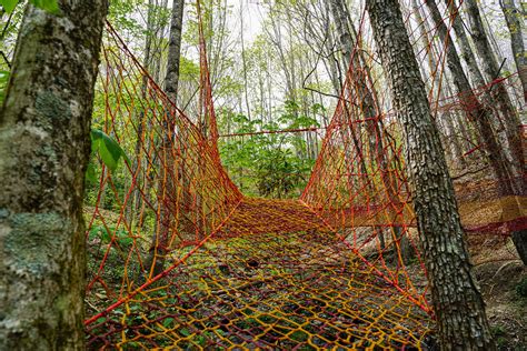 Elk And Embers Tree Net Tree Weaves Elk And Embers Tree Net Tree Weaves