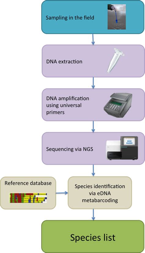 1 Methodology For Analysis Using An Edna Metarbacoding Approach Download Scientific Diagram