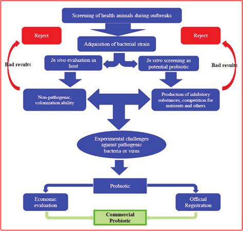 probiotic selection balcazar et al 2006 download scientific diagram