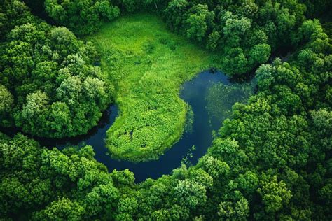 Environmental Impact Mitigation Strategies Ar Generative Ai Premium Ai Generated Image