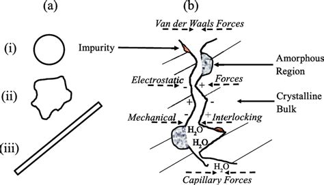 Schematics Illustrating A I Spherical Ii Rugose Or Iii